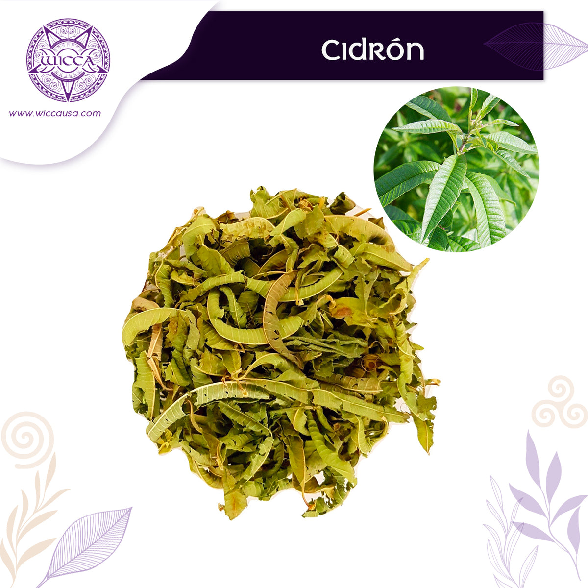 Herbalist: Cidron Herb: Reveal the mystical secrets of this powerful p ...